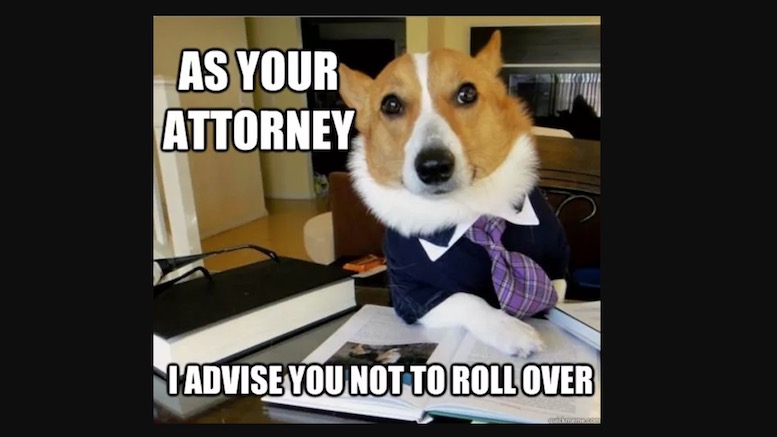 Lawyer Dog Memes